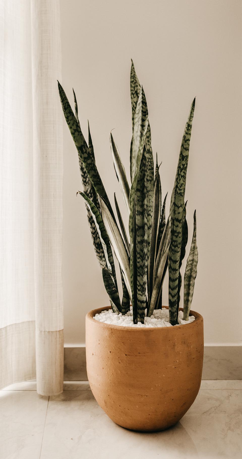 BCB Solution - Electrical and Automation Solution